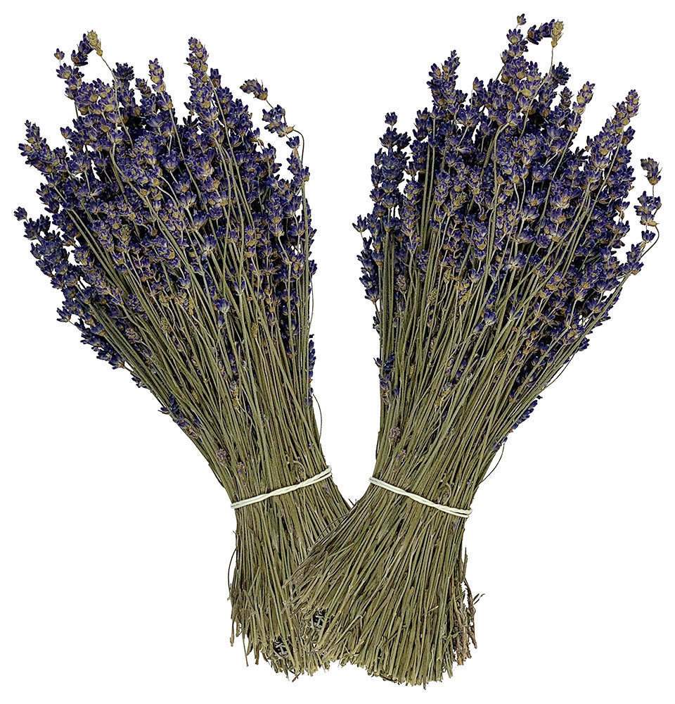 Elegantes Lavendel Getrocknet Verwendung Bilder